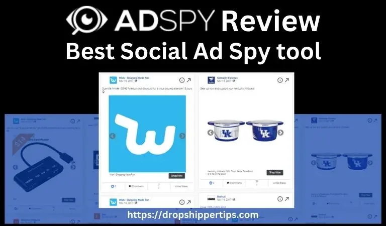 AdSpy Review In 2024 | How To Use AdSpy For Dropshipping